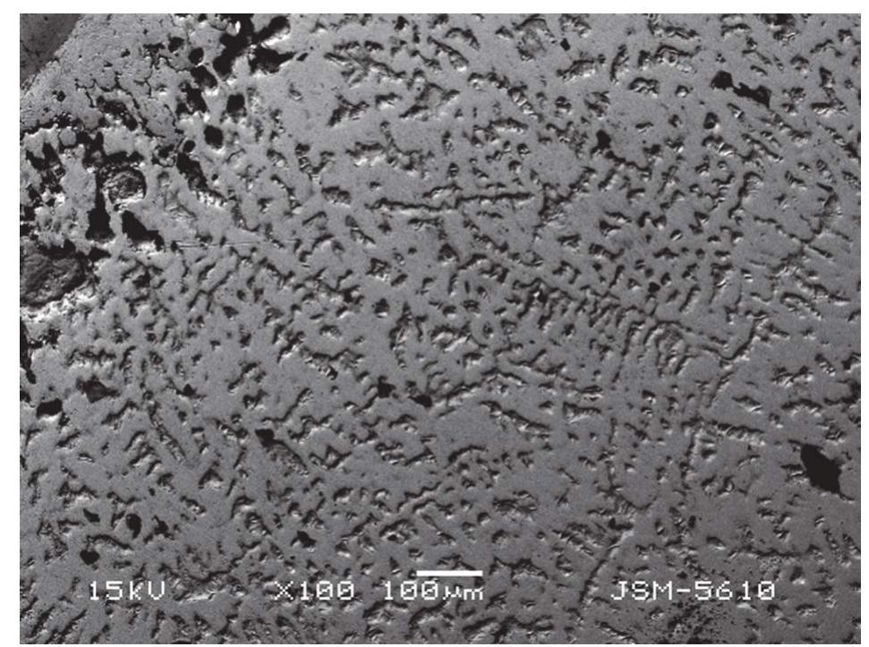 Microstructure showing the dendrite pattern (image by the
