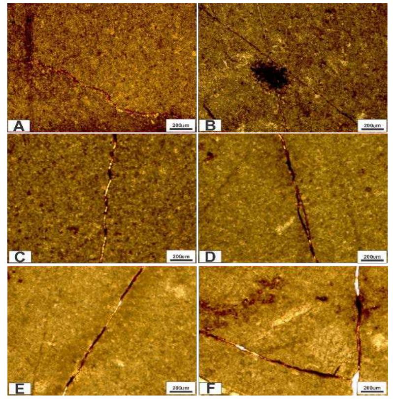 In sakesar limestone the fractures are found at different