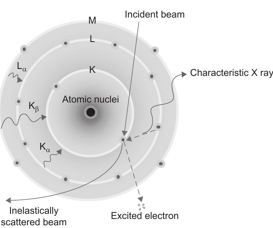 Schematic of x-ray origin. the incident electron beam causes