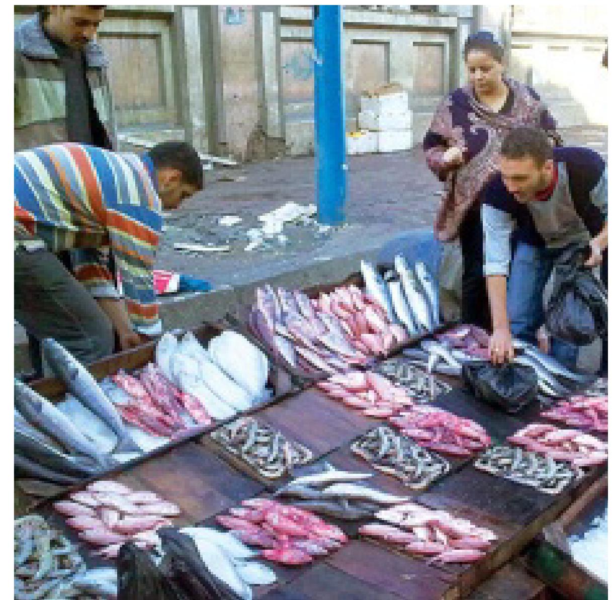 (PDF) Sustainable Waterfront Development-A Case Study of Bahary in ...