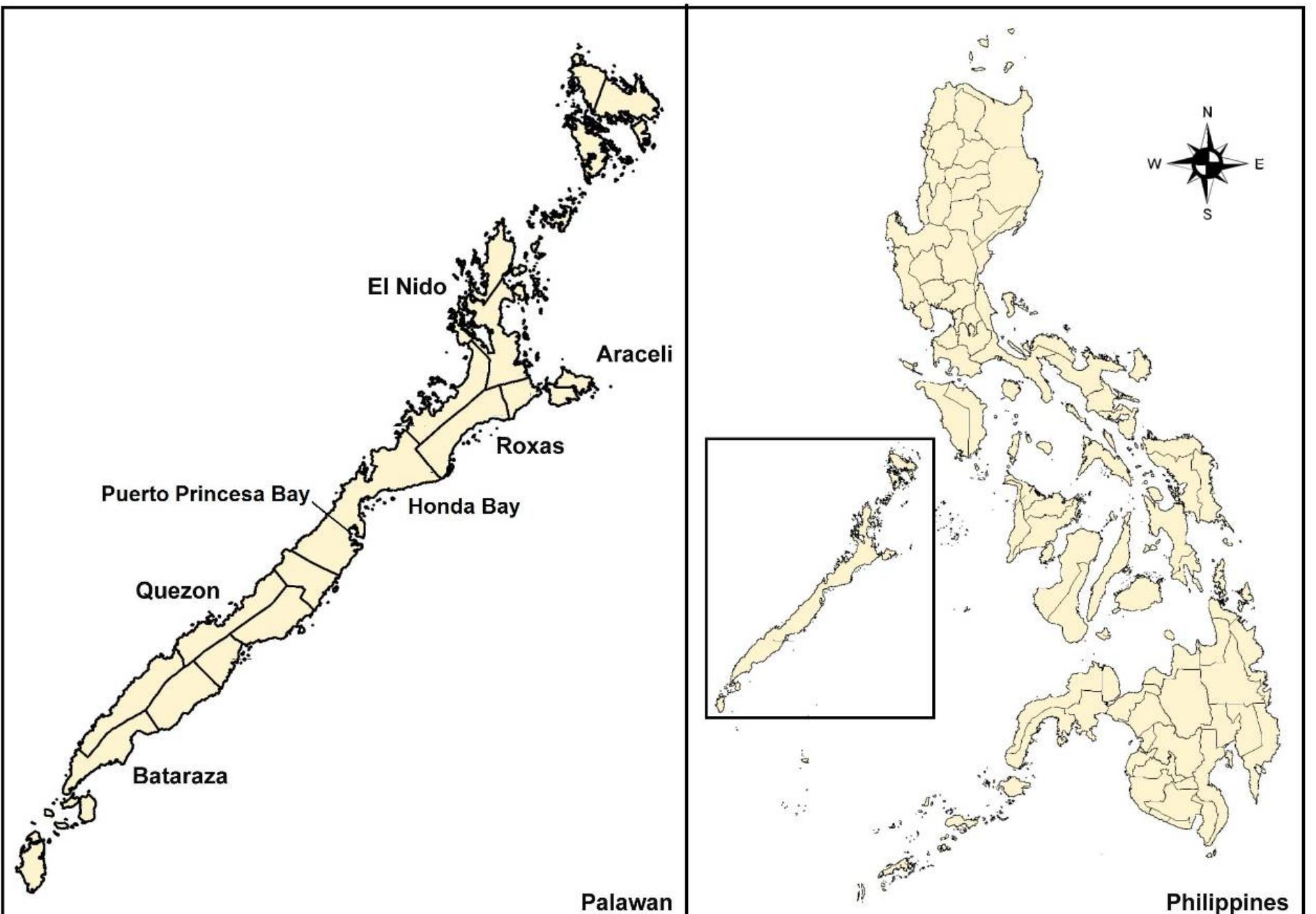 The map of palawan, philippines showing the sampling sites