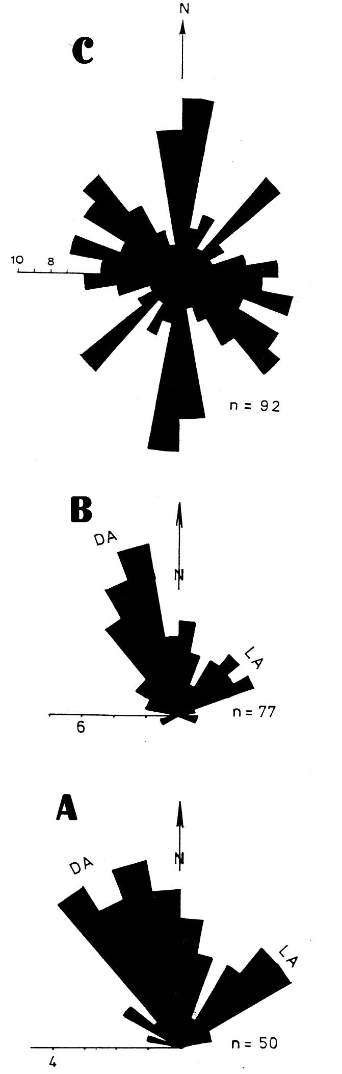 Rose diagrams showing the paleocurrent directions of: (a) st