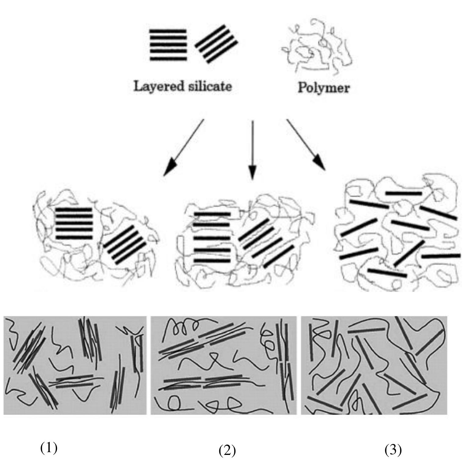 Three different types of polymer nanocomposite structure