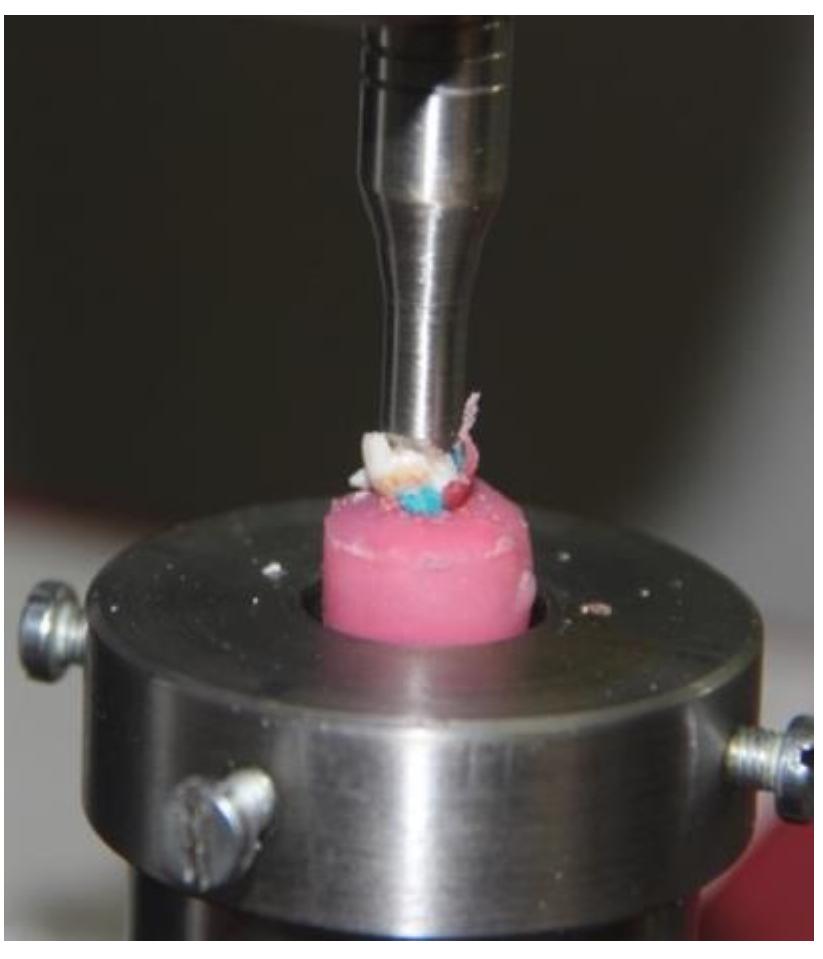 Fracture loading fig 5: specimen places under utm