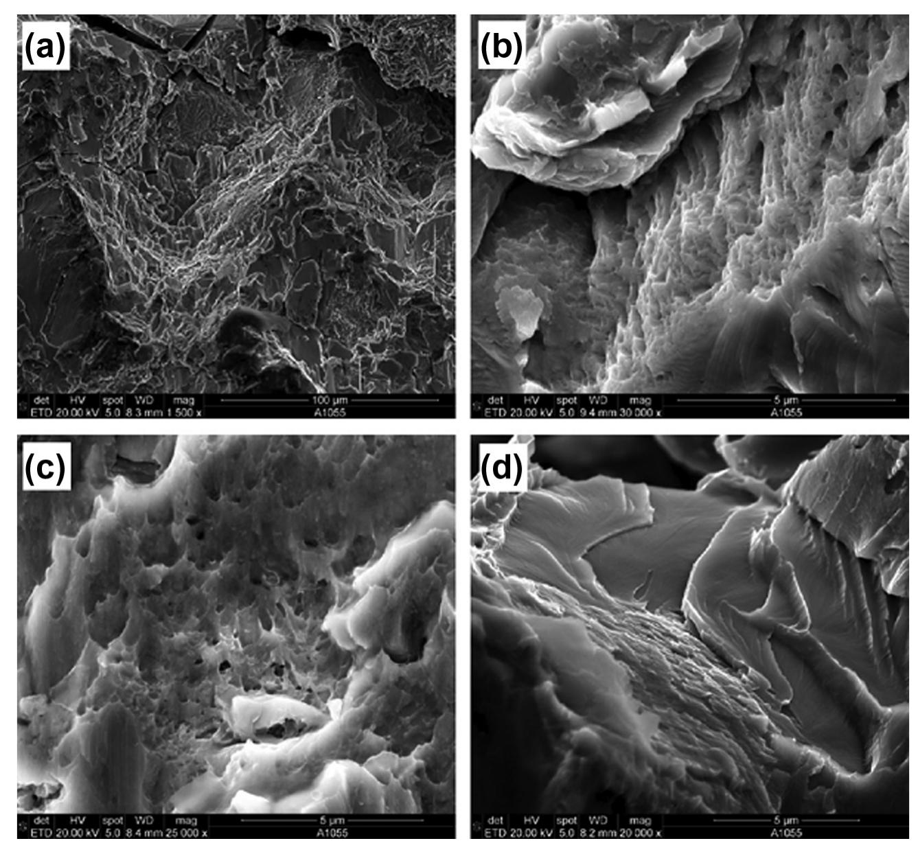 15. sem secondary electron images of the fracture surface of