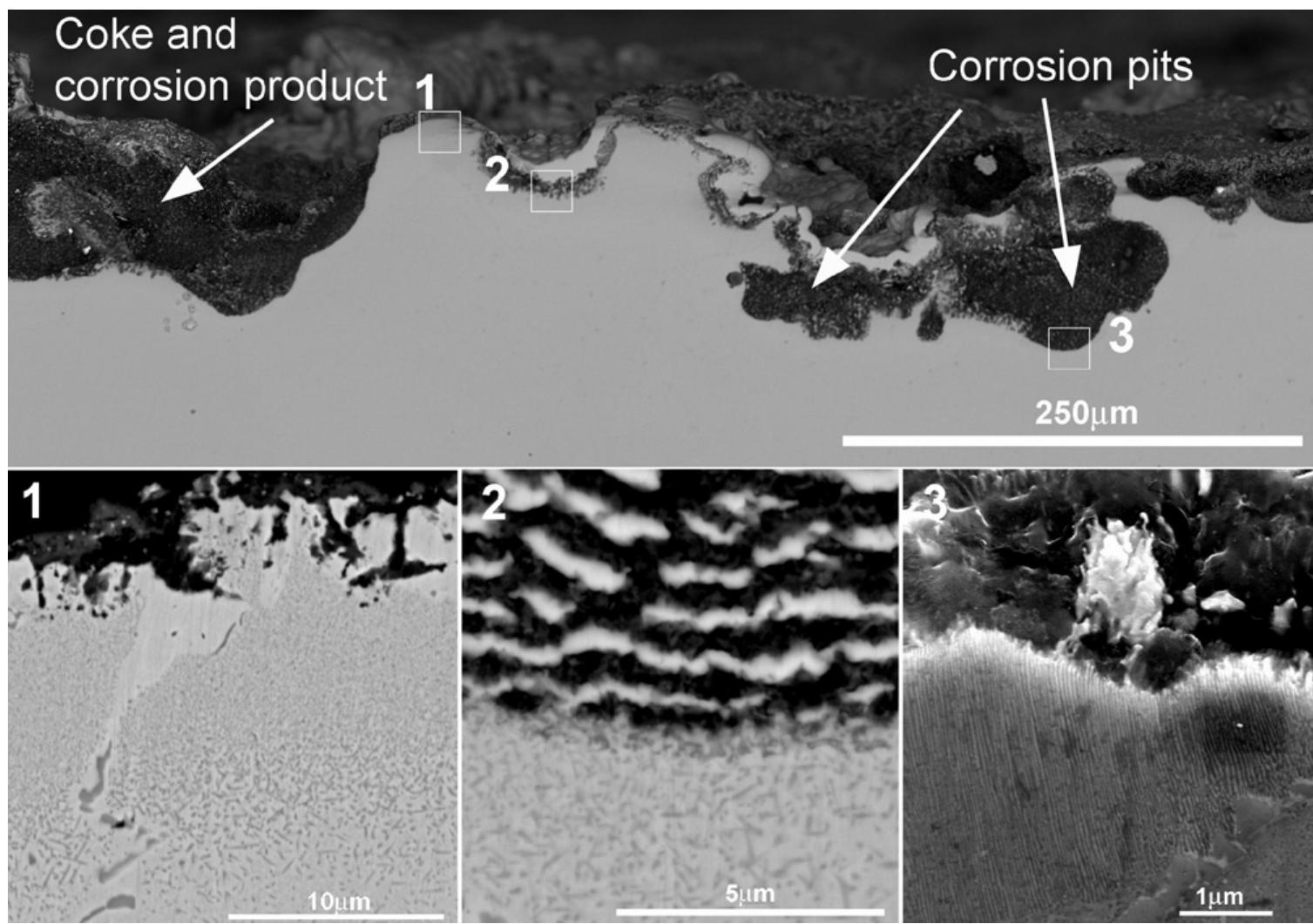 Sem cross section. the inset images show the microstructure