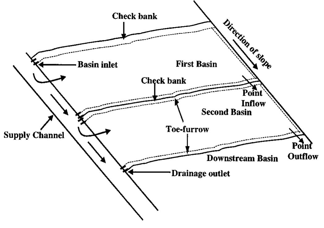 Typical layout of contour basin irrigation system