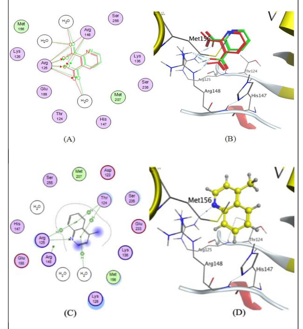 2d diagram (a), 3d representation (b) showing