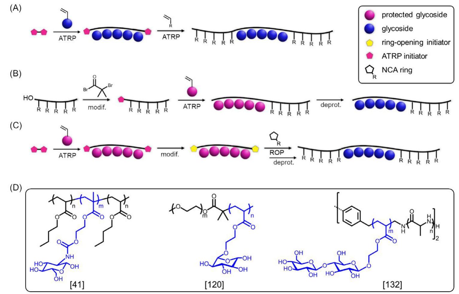 Strategies for the synthesis of block-type glycopolymers via