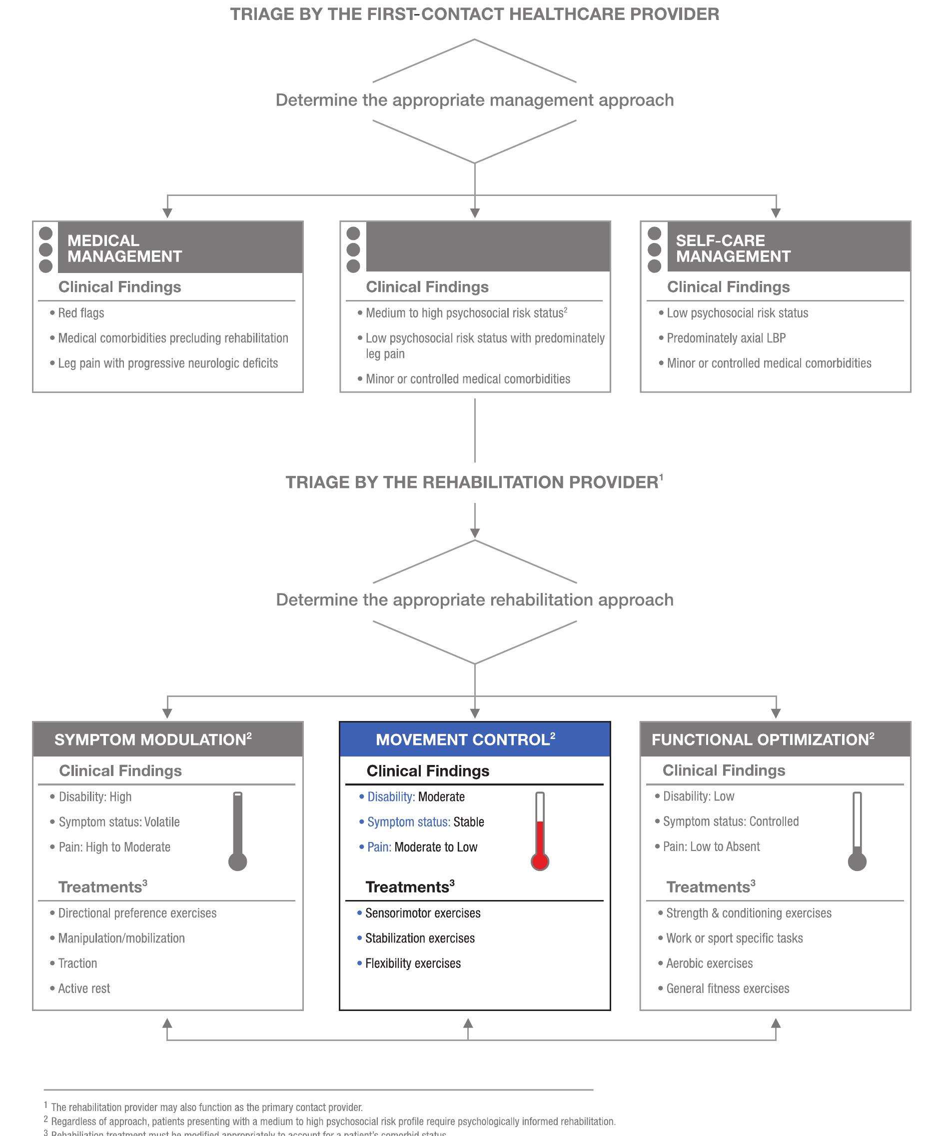 Figure 1 - Treatment-based Classification System for