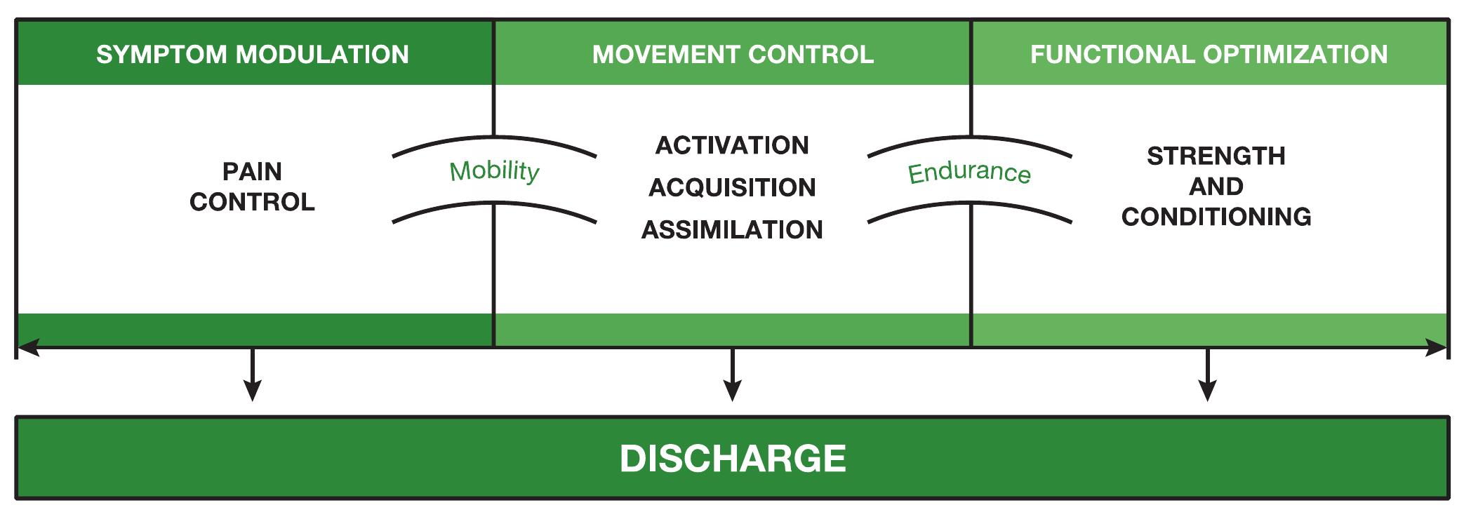 Treatment-based classification system in lbp: movement