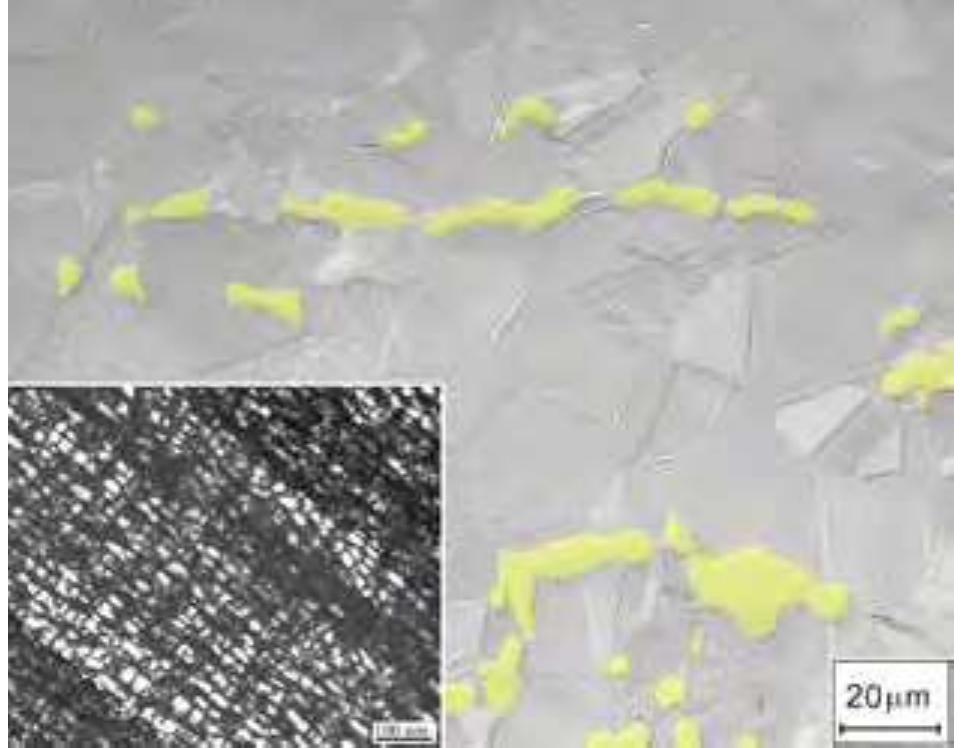 Optical micrograph of the microstructure of an as-cold