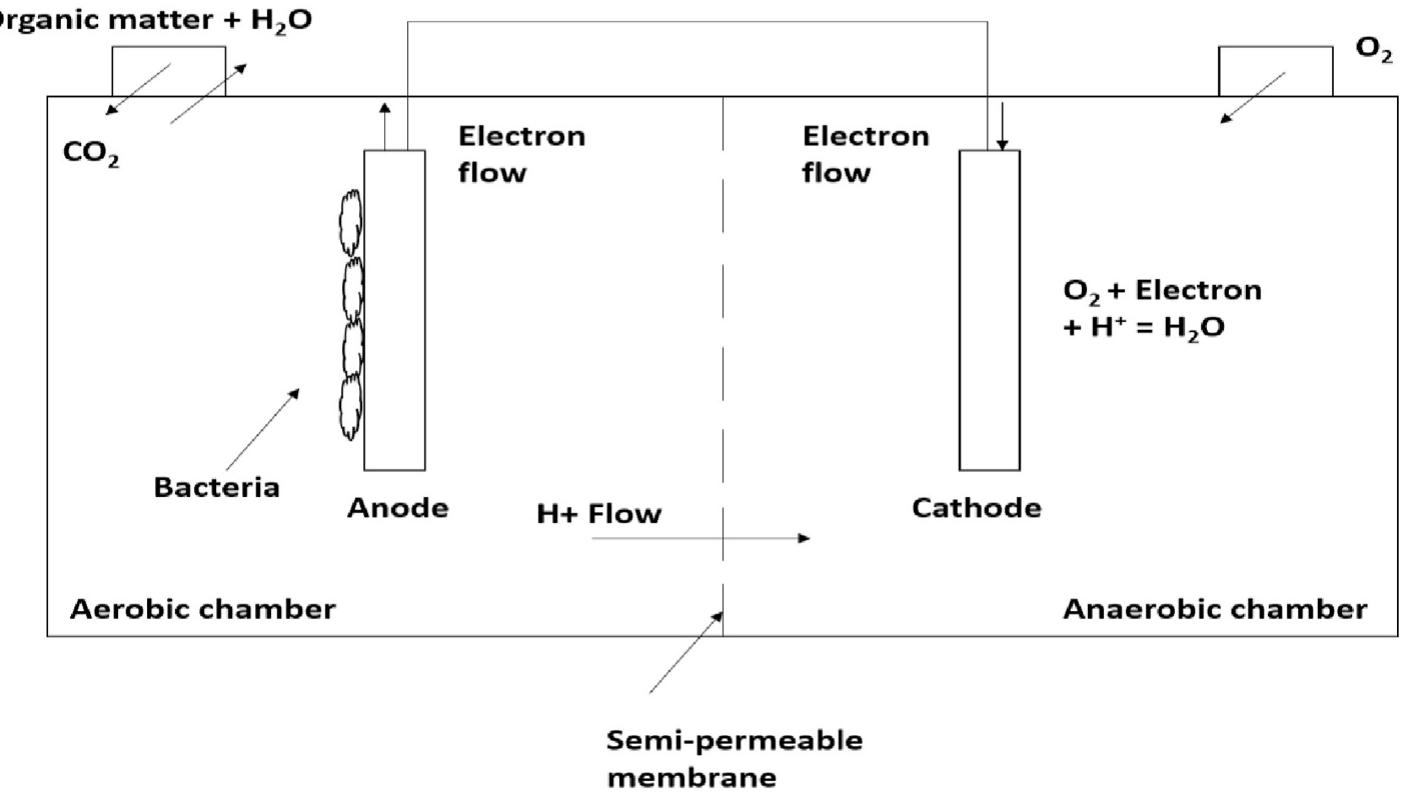 General scheme of the microbial fuel cell, modified from