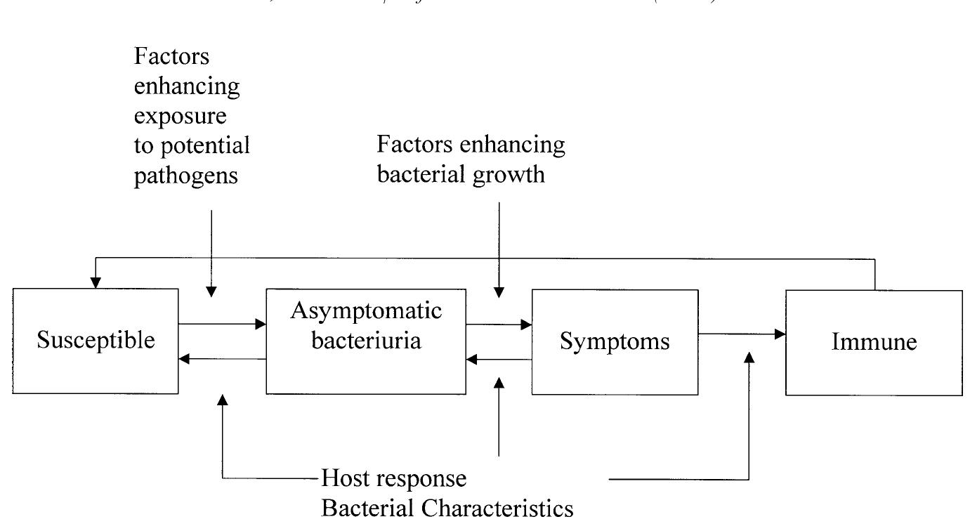 Flow diagram of urinary tract infection.