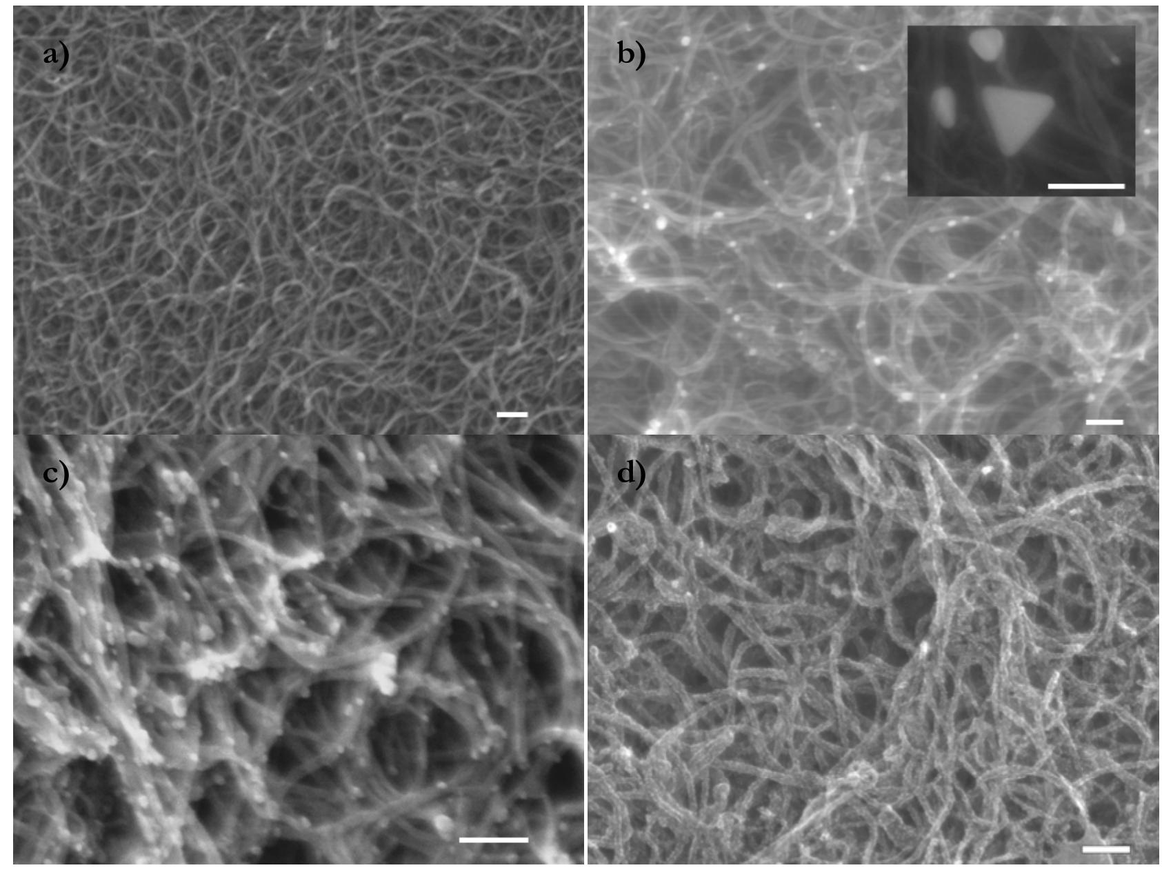 3. scanning electron micrographs of mwnt bucky papers; a)