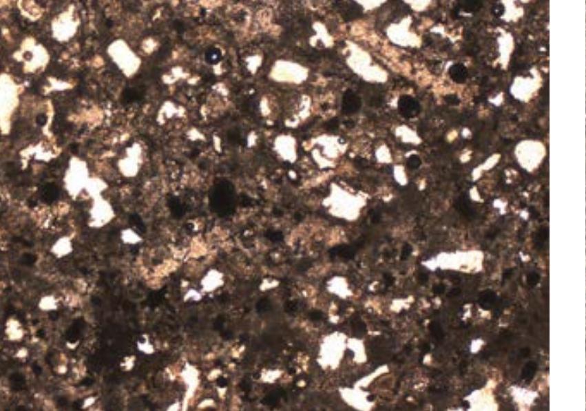 App. 1.13. micro-texture of a hard meleke sample from the