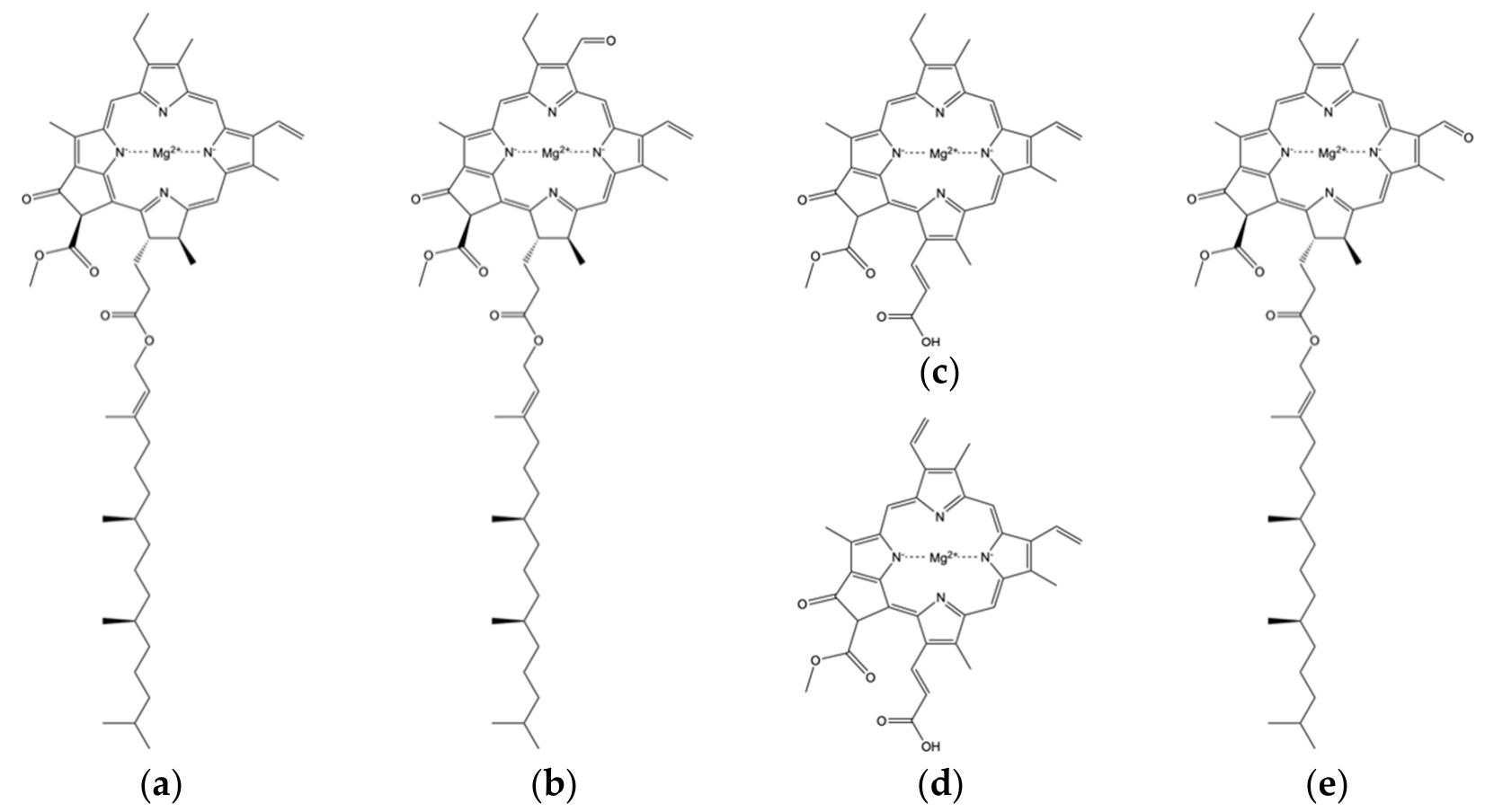 The chemical structure of the chlorophylls present in marine