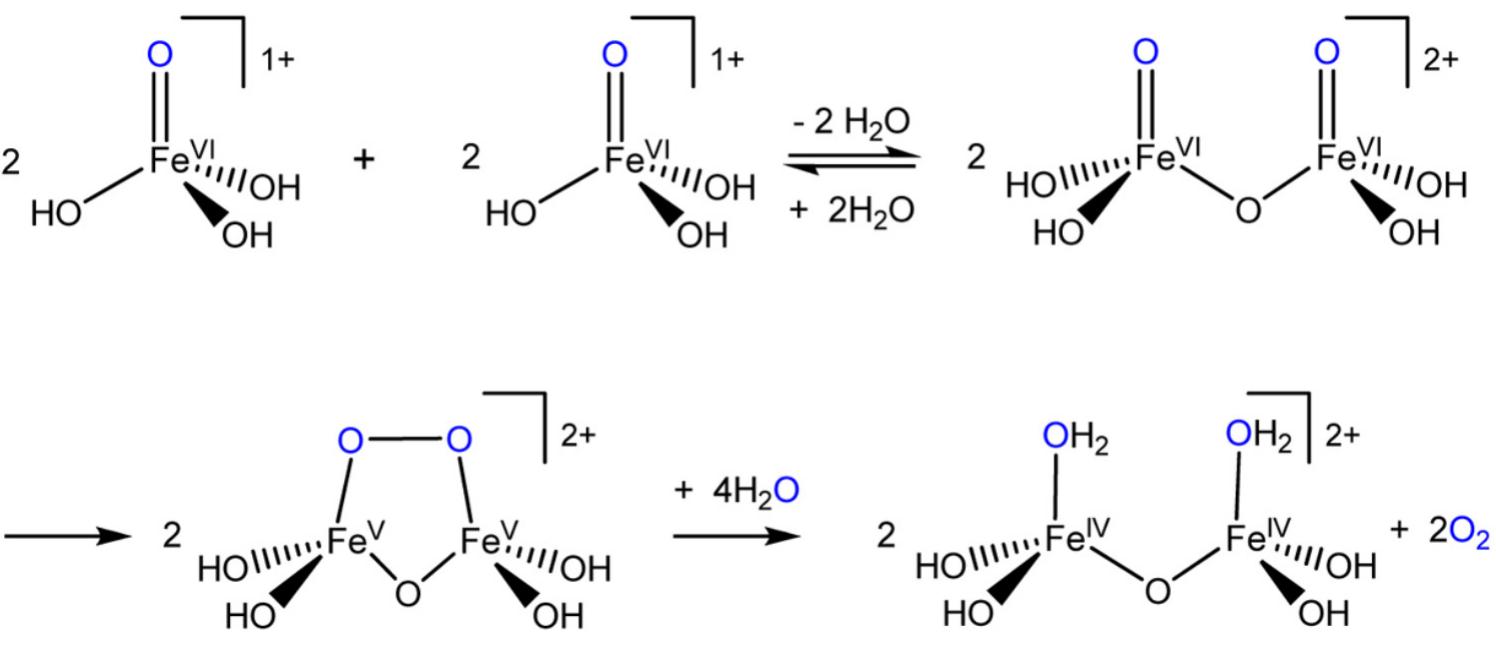 Oxidation of water molecules by fe(v) dimeric complex [126].