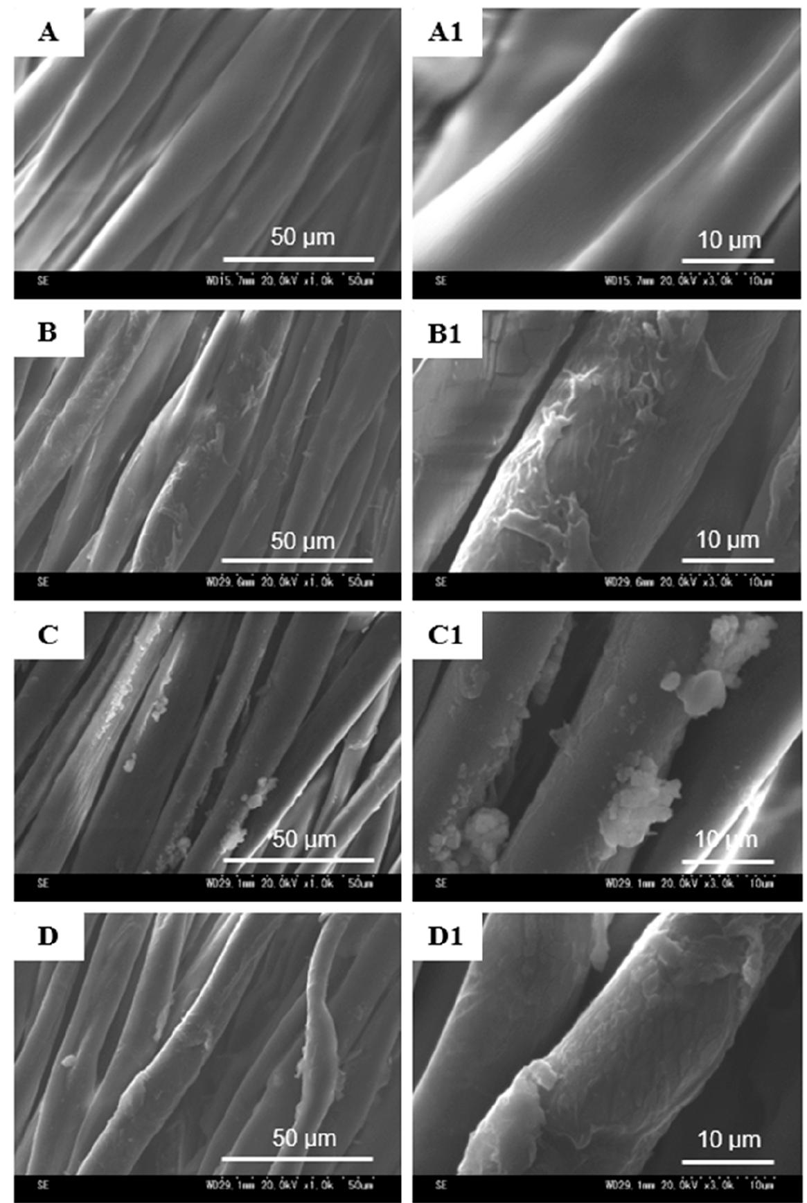 Scanning electron microscopy (sem) images of cot (a,a1);