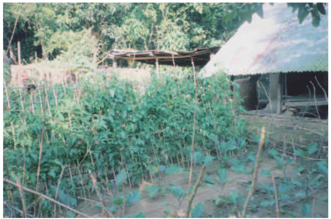 Figure 2 - from Kitchen Gardening Practices through People's