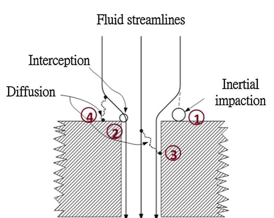 Illustration of the four filtration mechanisms of a