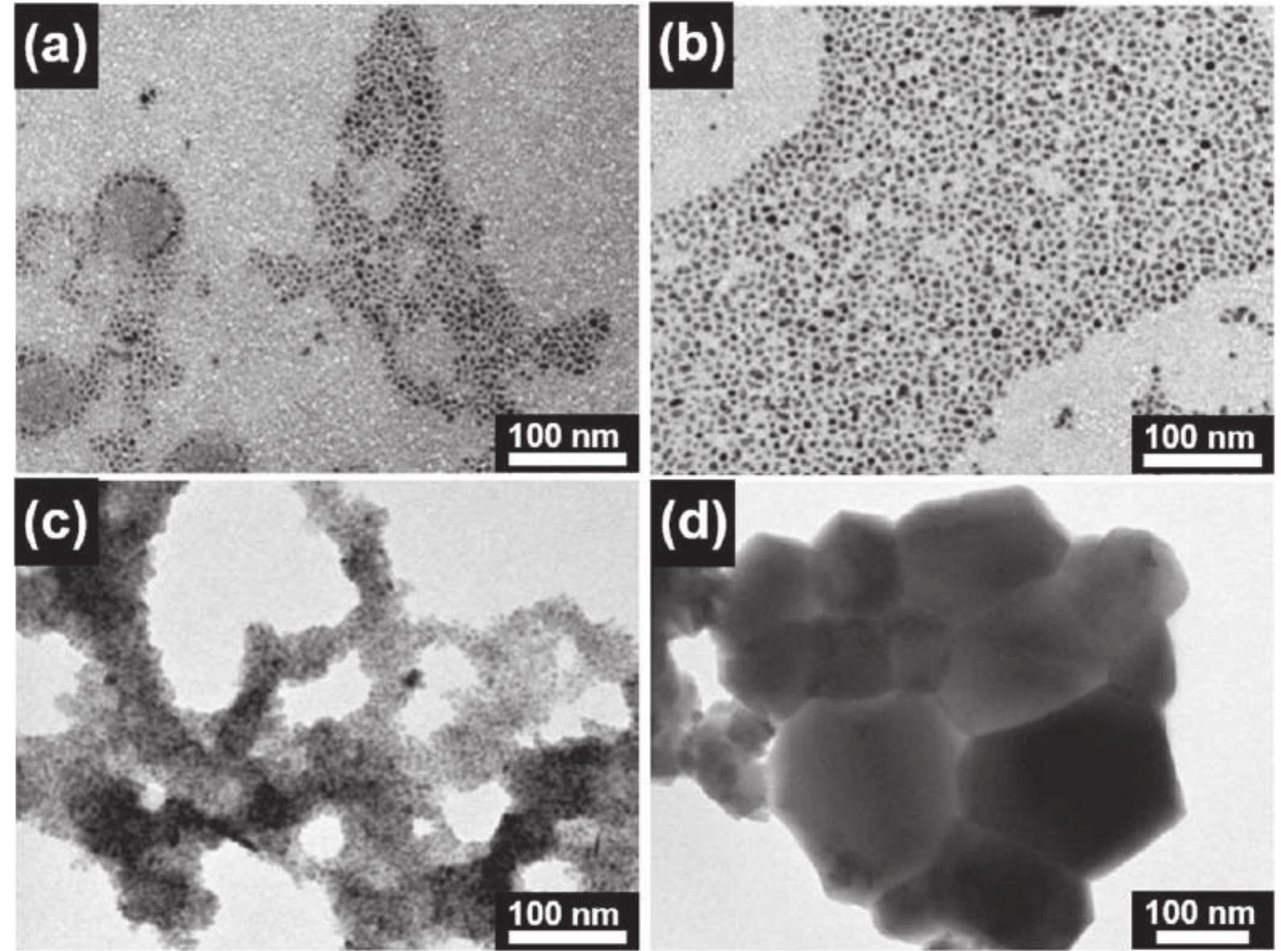 (a) morphology of as-prepared fe;0, morphology of fe3o,