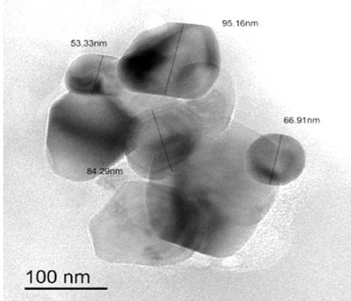 Nanoparticles prepared using algae extract were