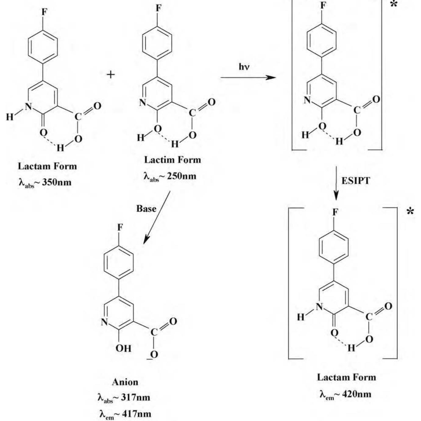 Schematic presentation of esipt reaction (lactim-lactam