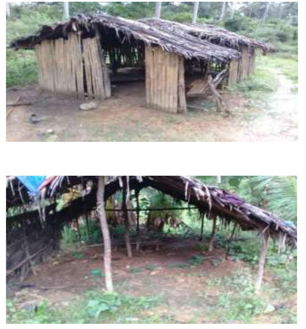 (PDF) EXPLORING THE TANGIBLE CULTURAL HERITAGE OF INDIGENOUS PEOPLE OF ...