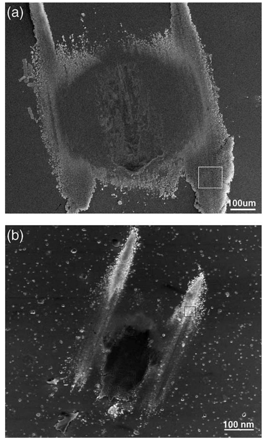 Scanning electron micrograph of the transfer layer on wear