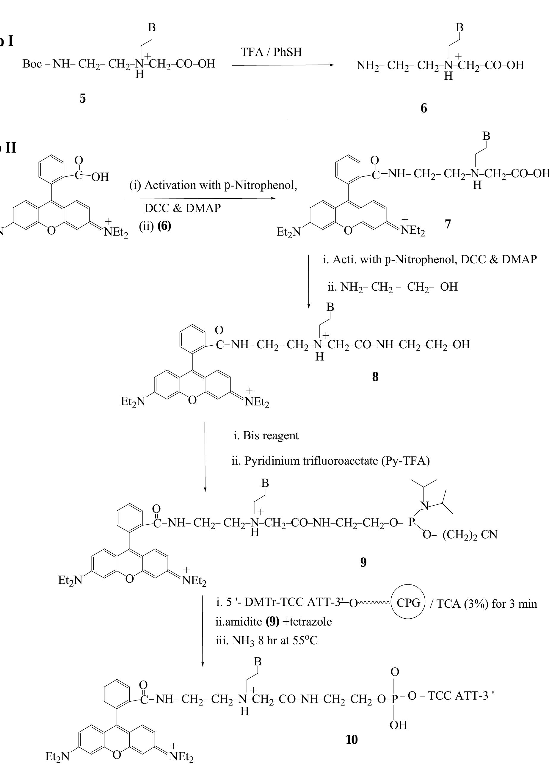 Figure 3 Design Development And Synthesis Of A Novel