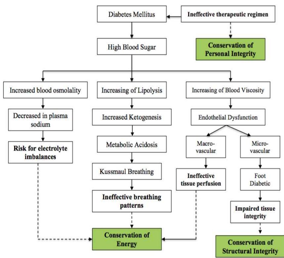 Data analysis (source: levine’s conservation model theory)