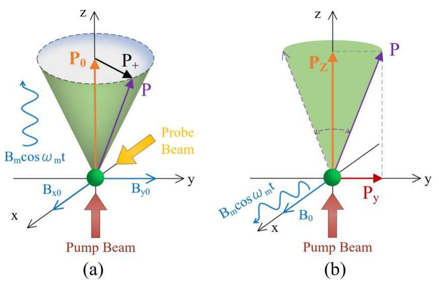 Principle sketch of parametric modulation on an optically