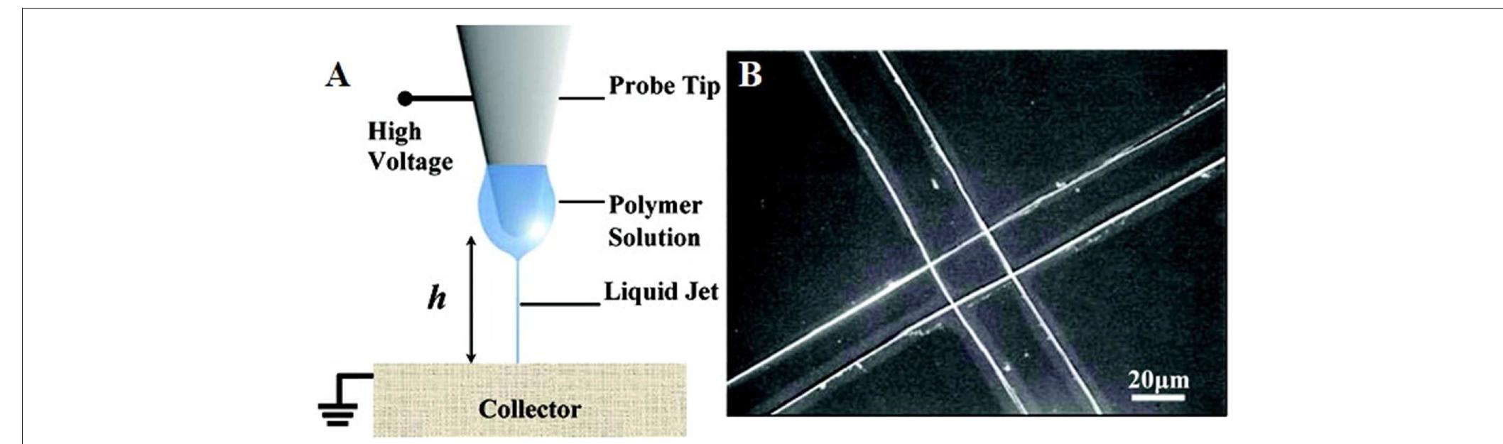 | (a) schematic representation of nfes system and (b)
