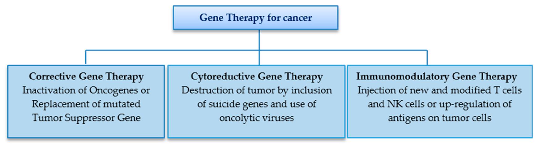 Various strategies and types of gene therapy approaches used