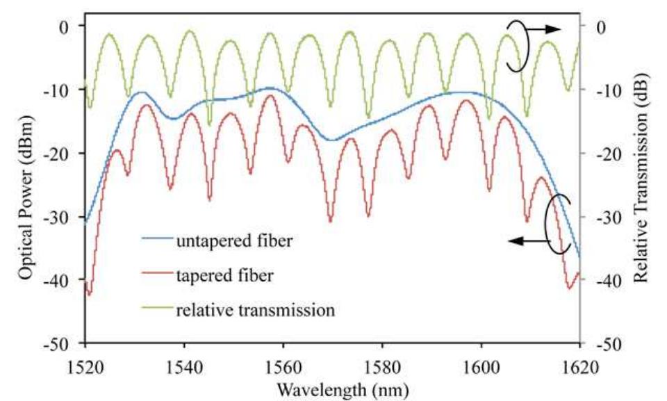 Transmision spectra of the untapered and tapered fibers.