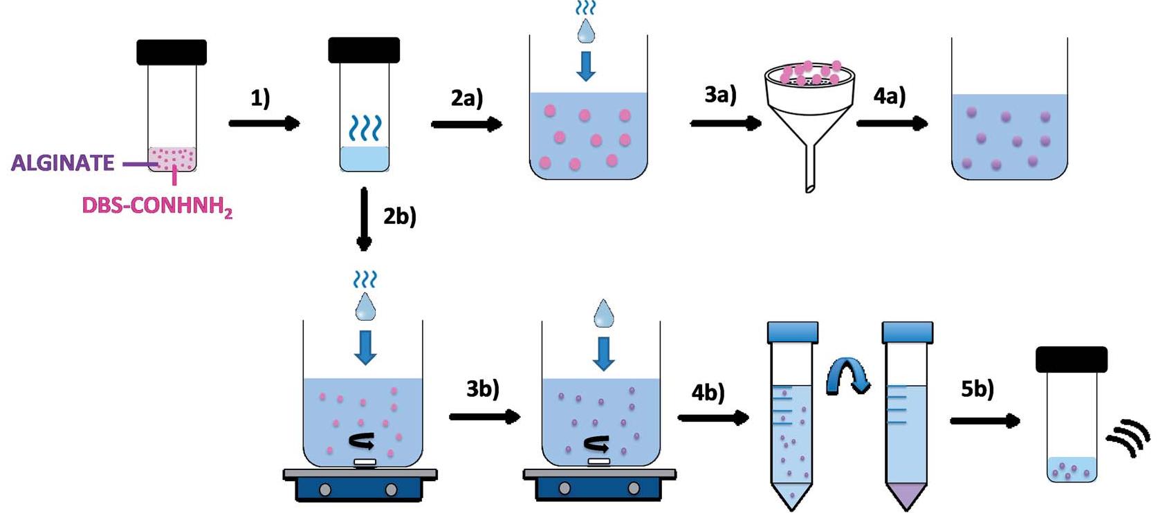 Schematic representation of dbs-conhnh>/alginate gel beads