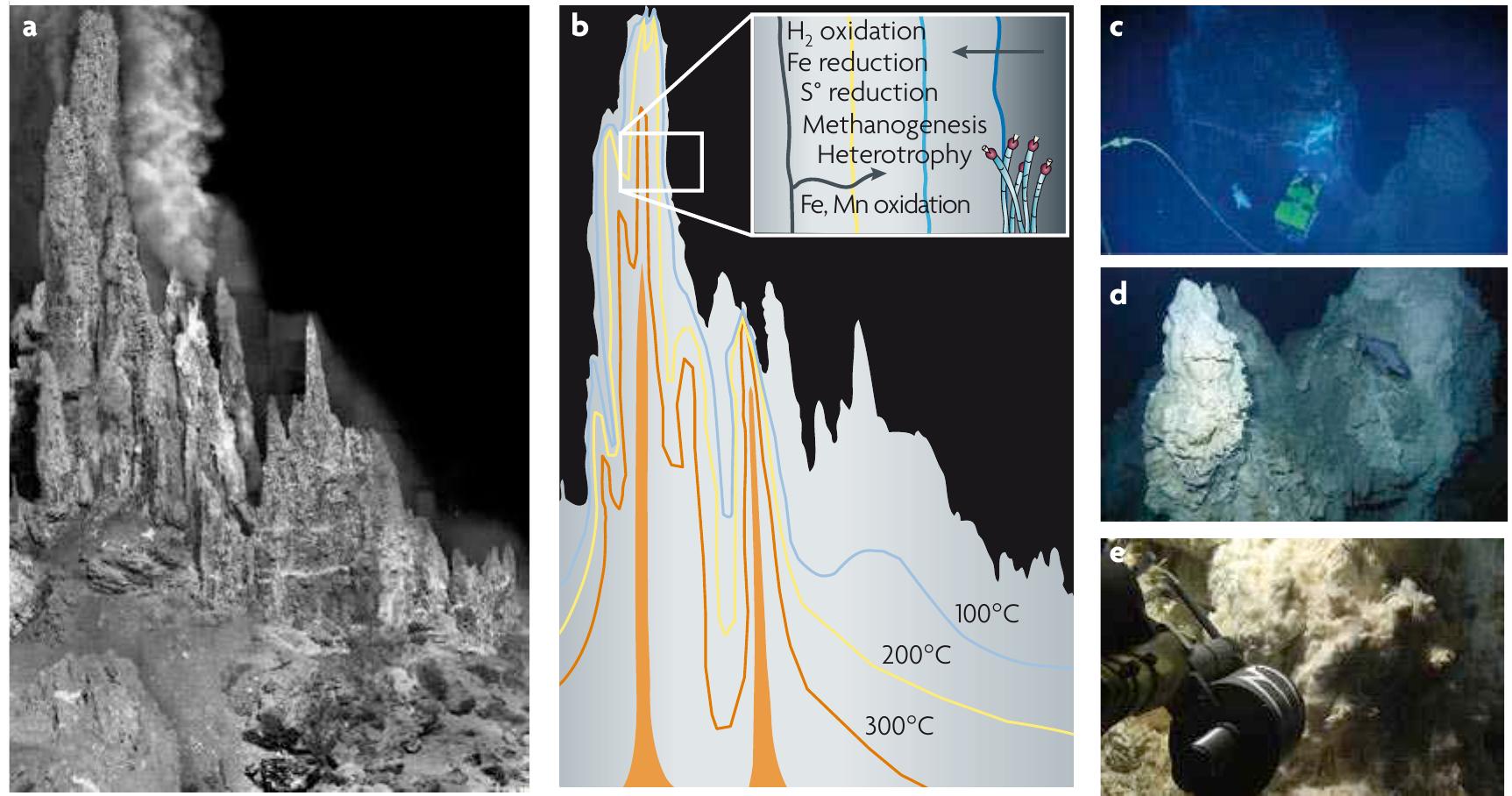 (PDF) Hydrothermal vents and the origin of life