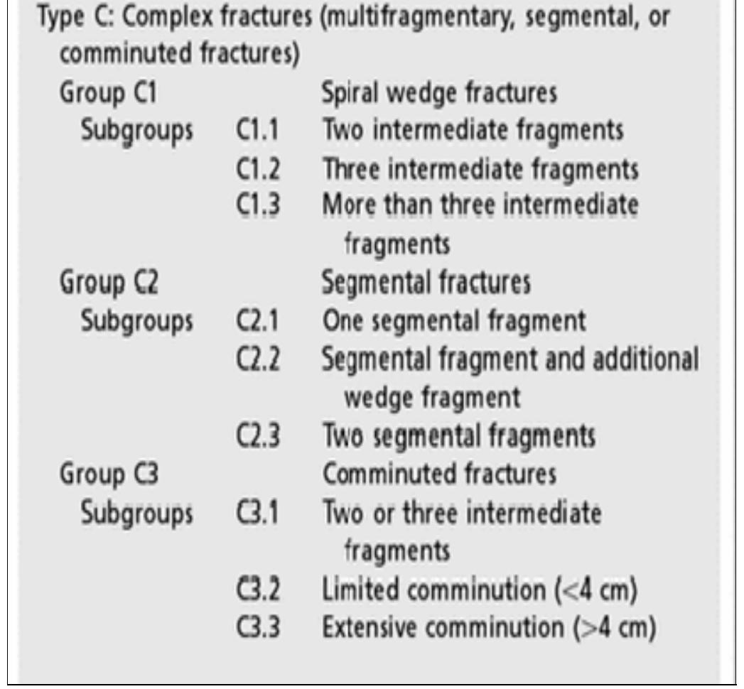 Ao classification of proximal third tibial shaft fractures