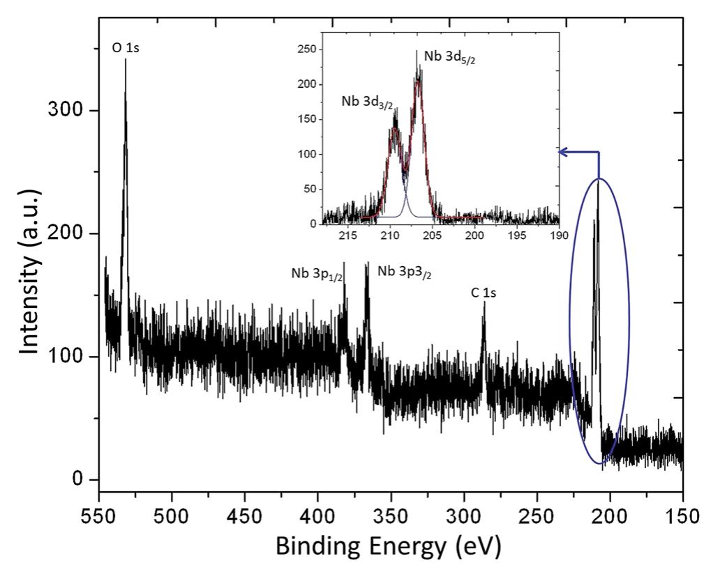 X-ray photoelectron spectroscopy survey spectrum of nb2os/