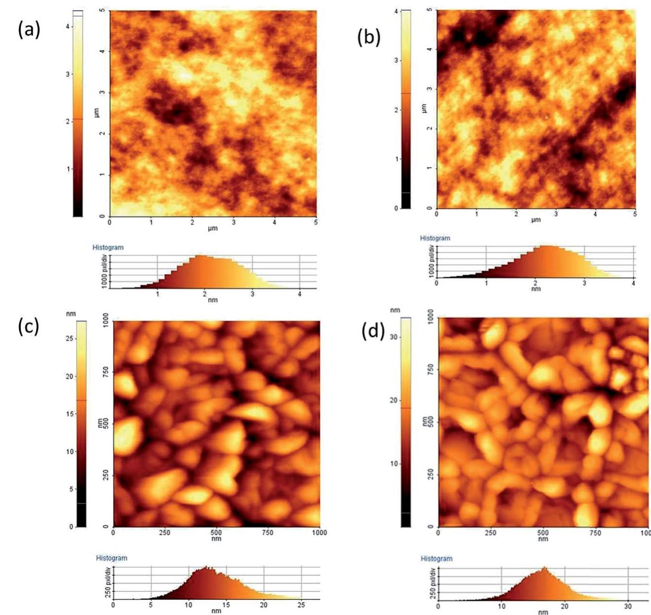 Atomic force microscopy images (5 1m x 5 um) and histograms