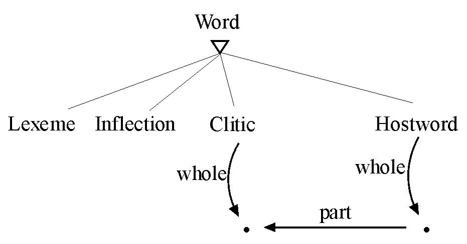 The four main word-types, including clitic and hostword