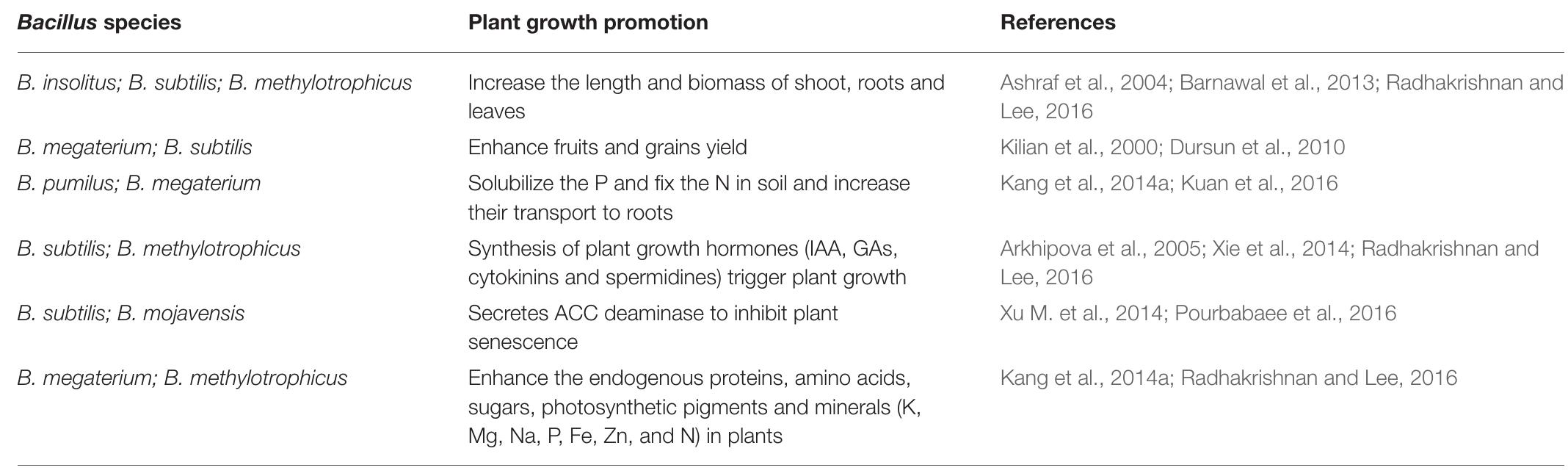 | bio-fertilizer effect of bacillus spp. on crop plants.