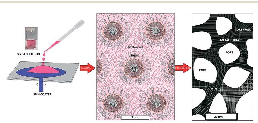 Schematic representation of the masa process and formation