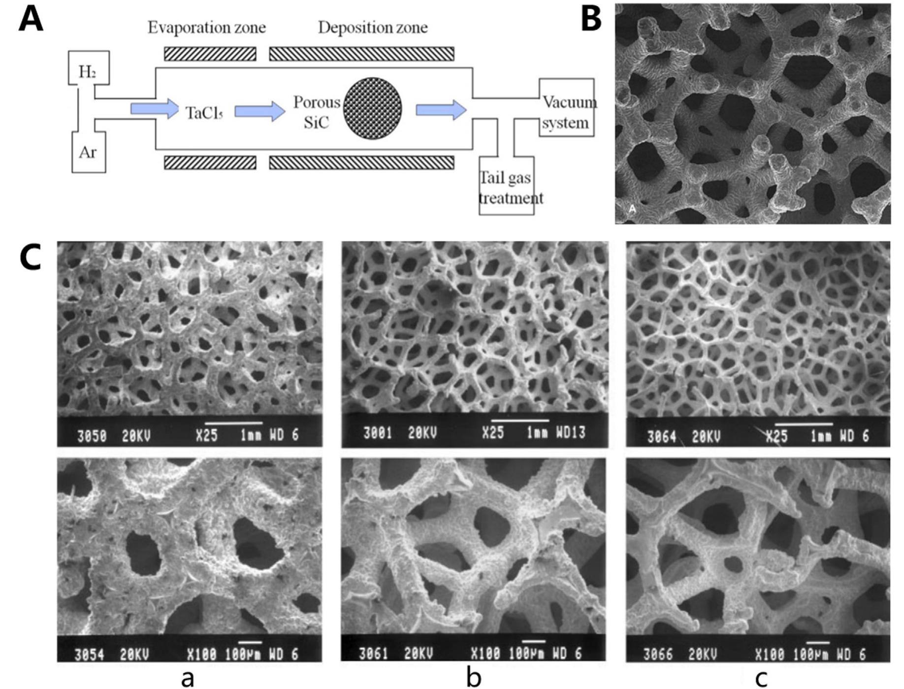 Cvd technique: (a) schematic of the cvd system; reproduced
