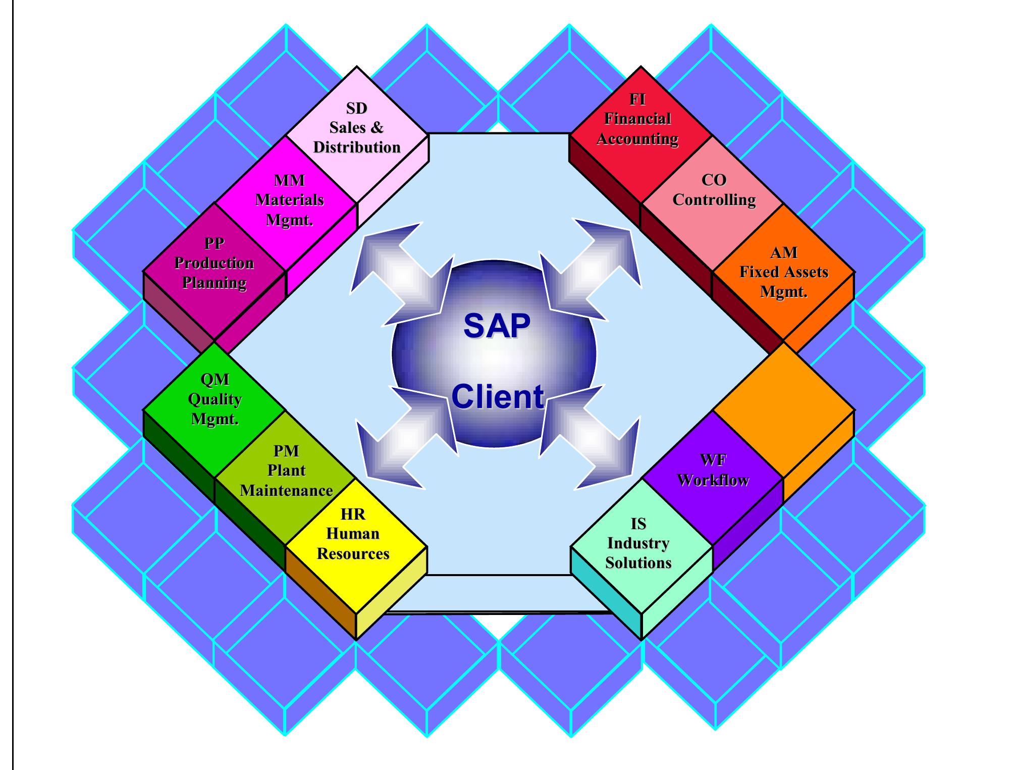 Sap integration schema (sap, 2010)