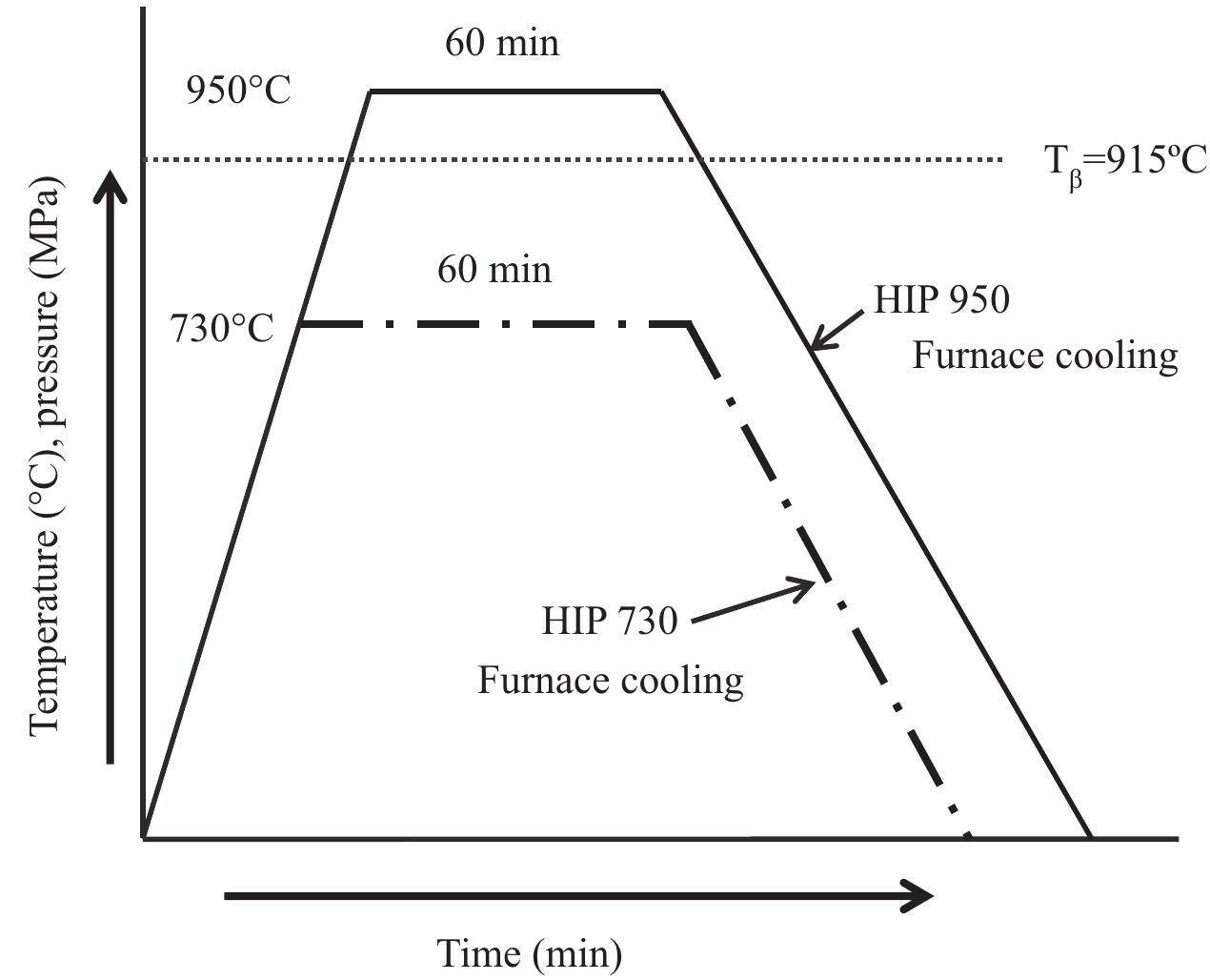 Schematic illustrating the two hip treatments selected for