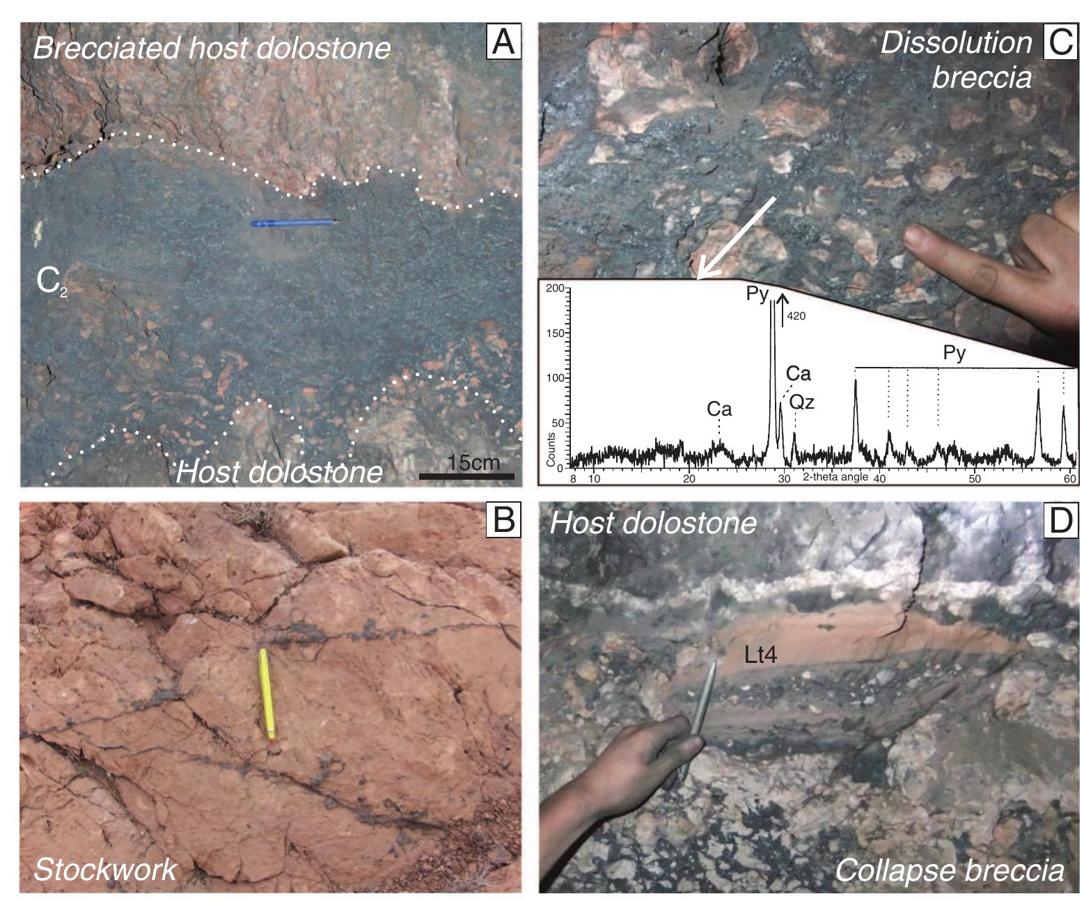 Results the mineralogy and petrography of distal and