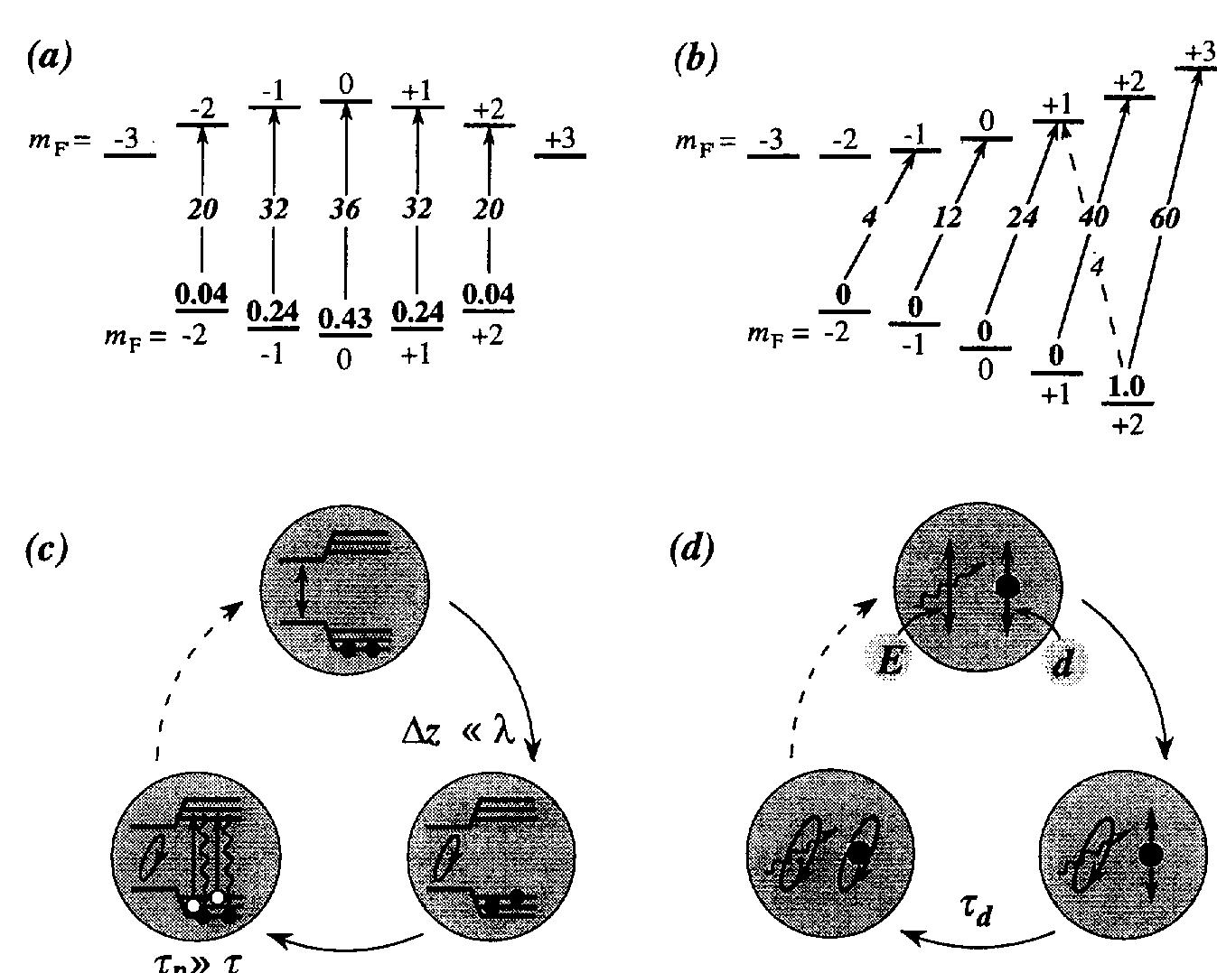 Qualitative model of polarisation gradient cooling for an f