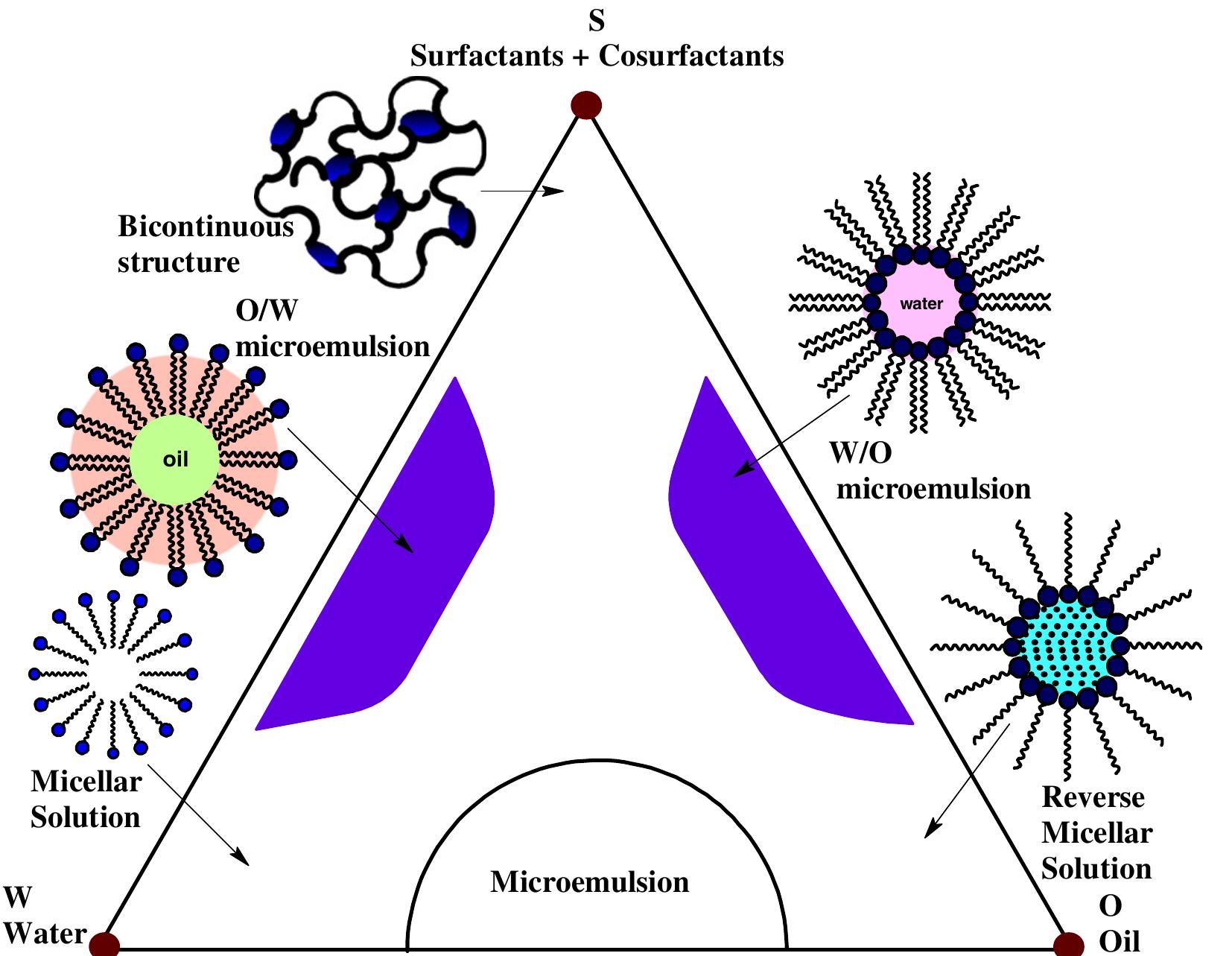 Hypothetical phase regions of microemulsion systems.